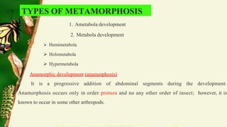 Comparative embryology of different insects_Zubair.pptx