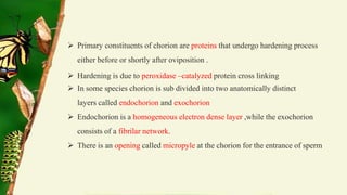 Comparative embryology of different insects_Zubair.pptx