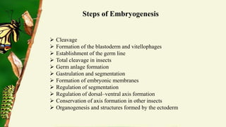Comparative embryology of different insects_Zubair.pptx