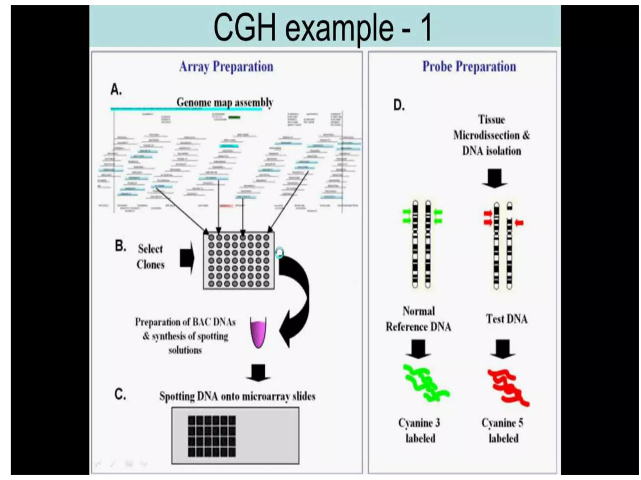 Comparative genomic hybridization | PPTX