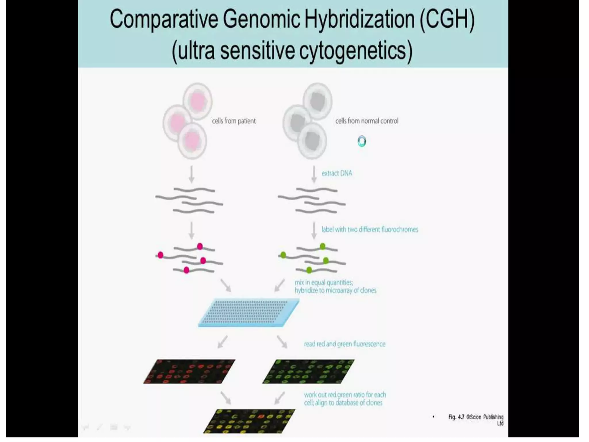 Comparative genomic hybridization | PPTX