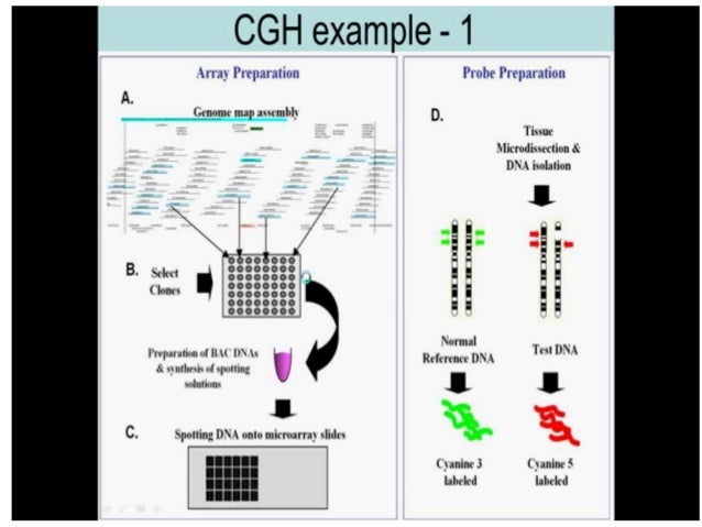 Comparative genomic hybridization