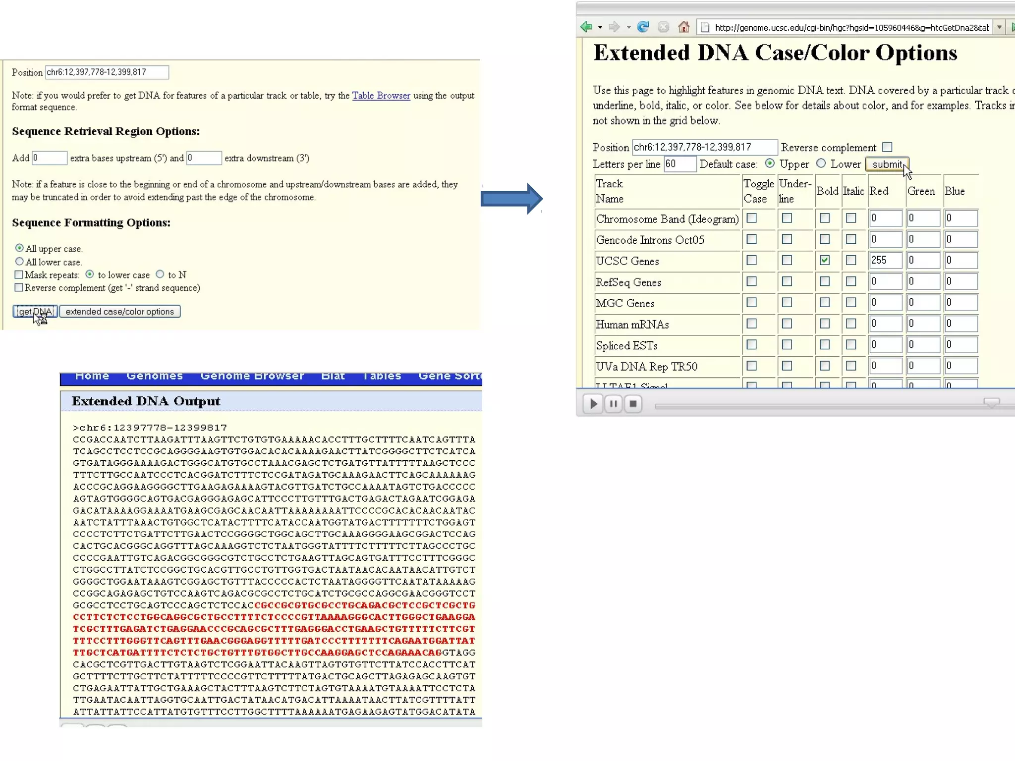 Comparative genomics | PPT