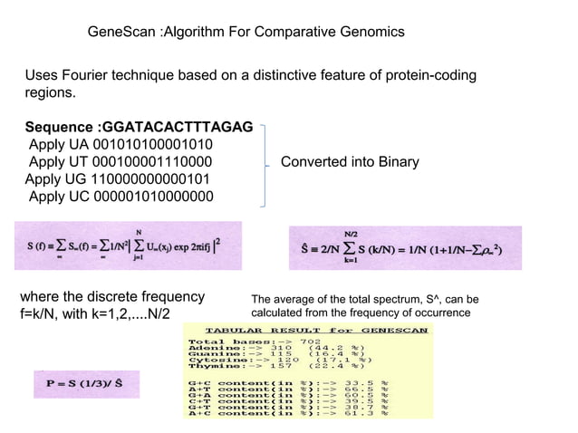 Comparative genomics | PPT