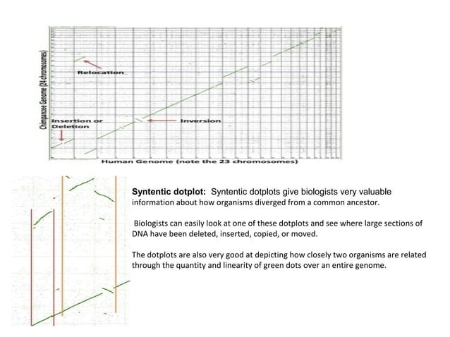 Comparative Genomics Ppt