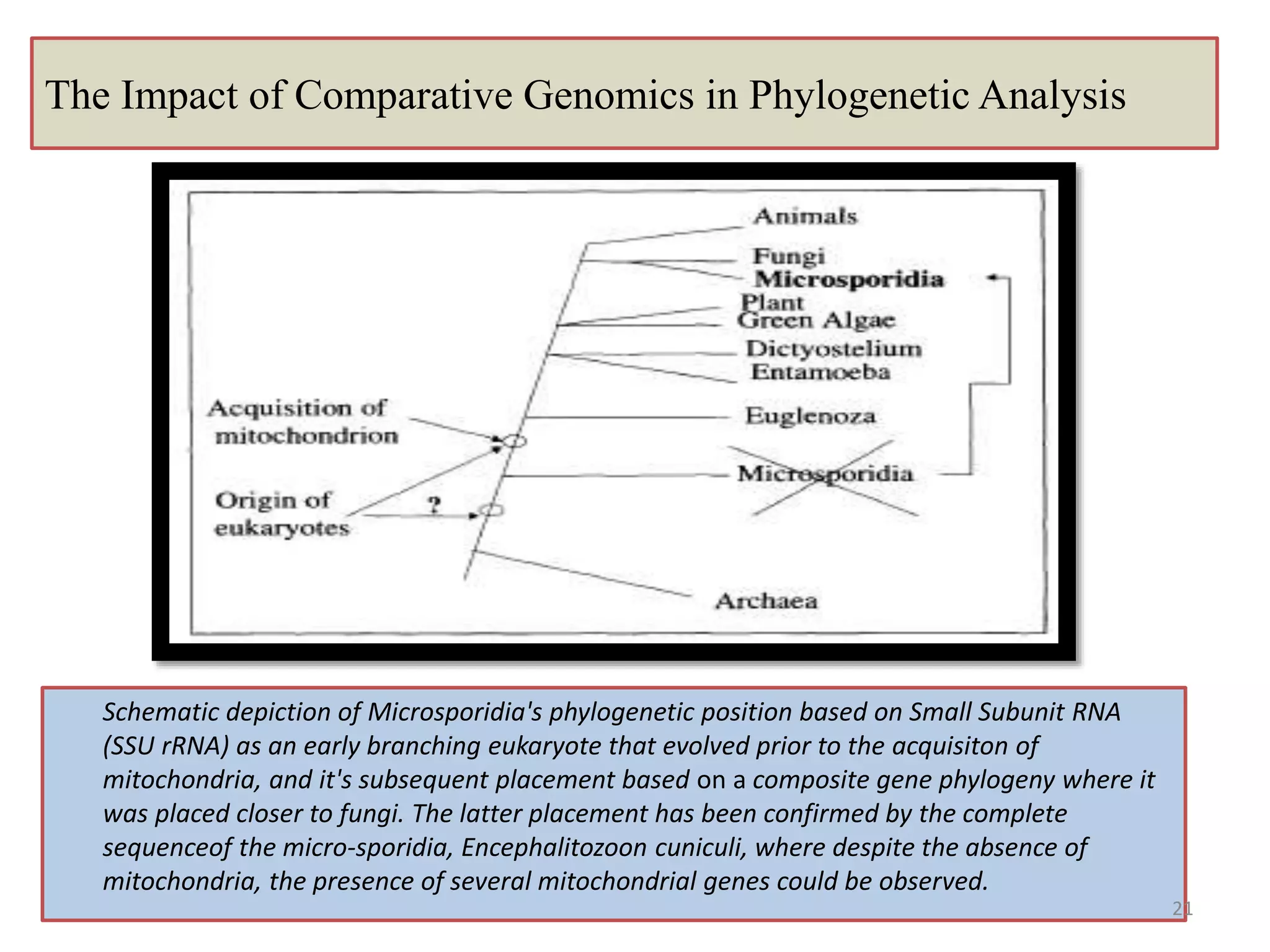 Comparative genomics | PPTX