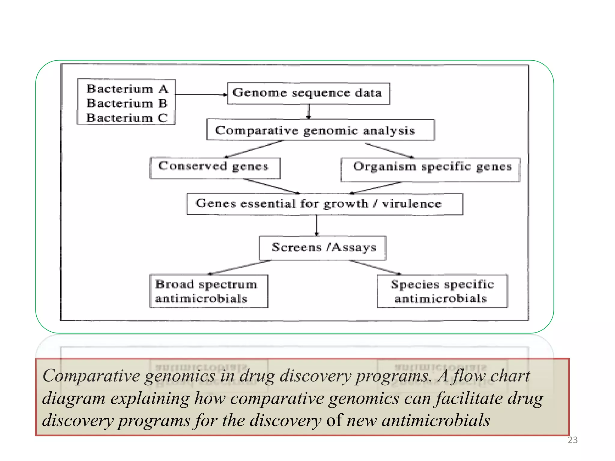 Comparative genomics | PPTX