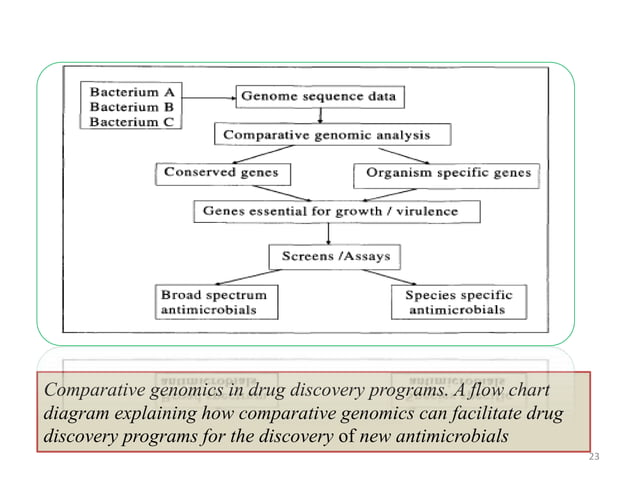 Comparative genomics | PPTX | Genetics | Science