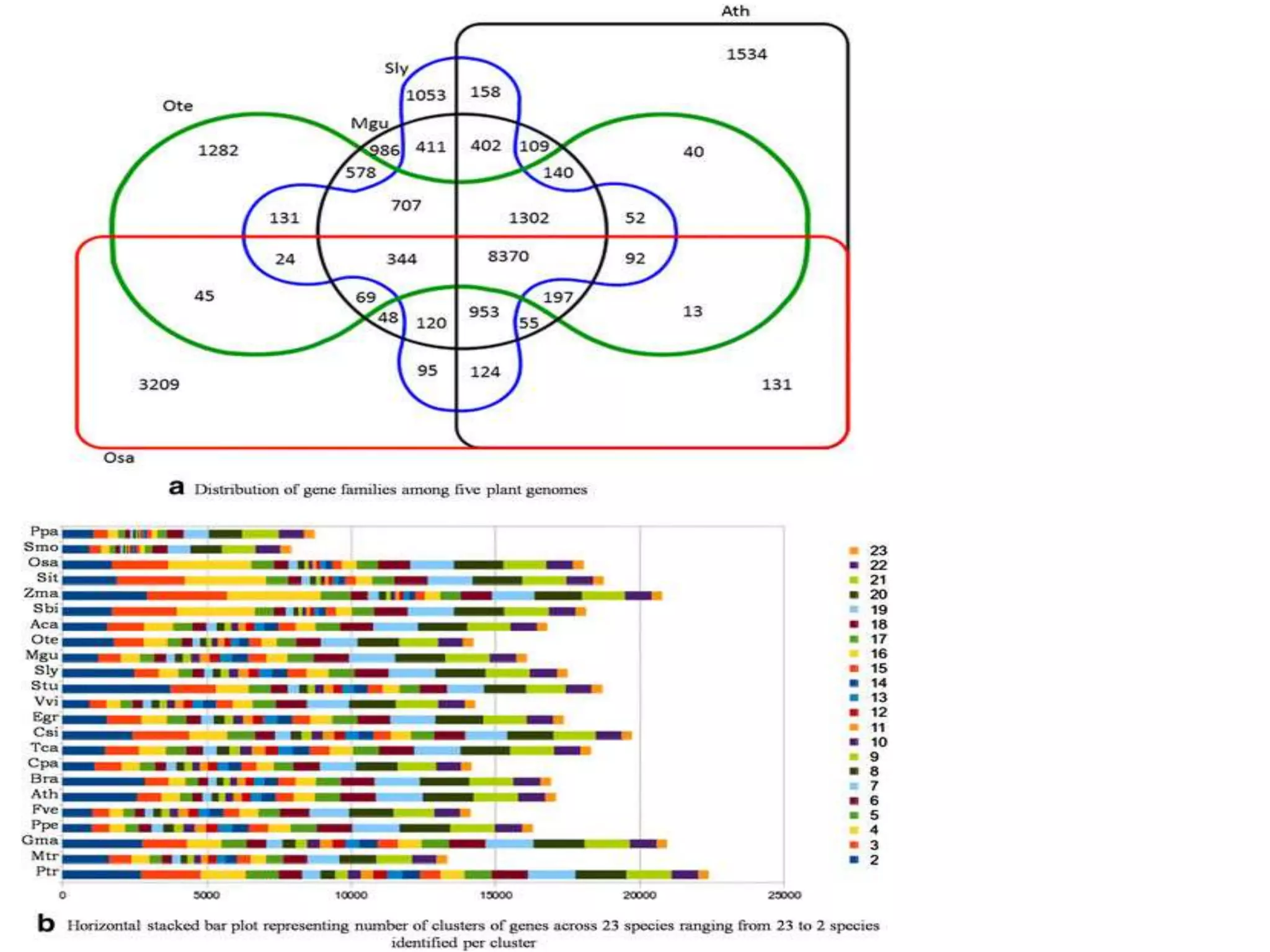 Comparative genomics | PPTX