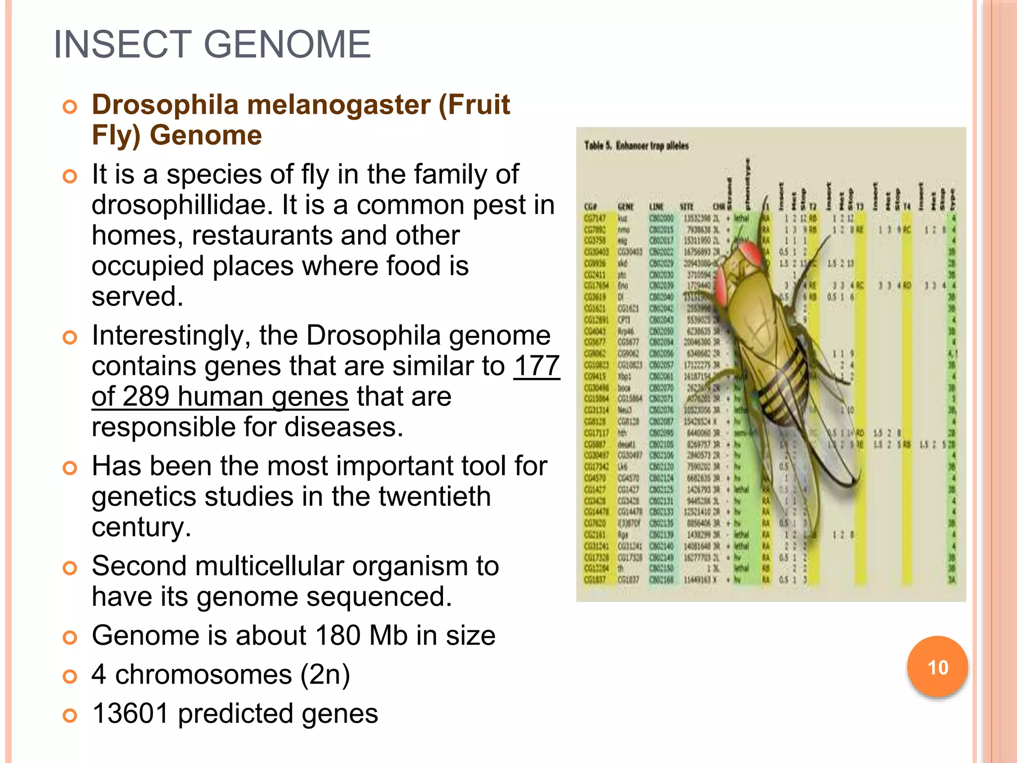 Comparative genomics | PPTX
