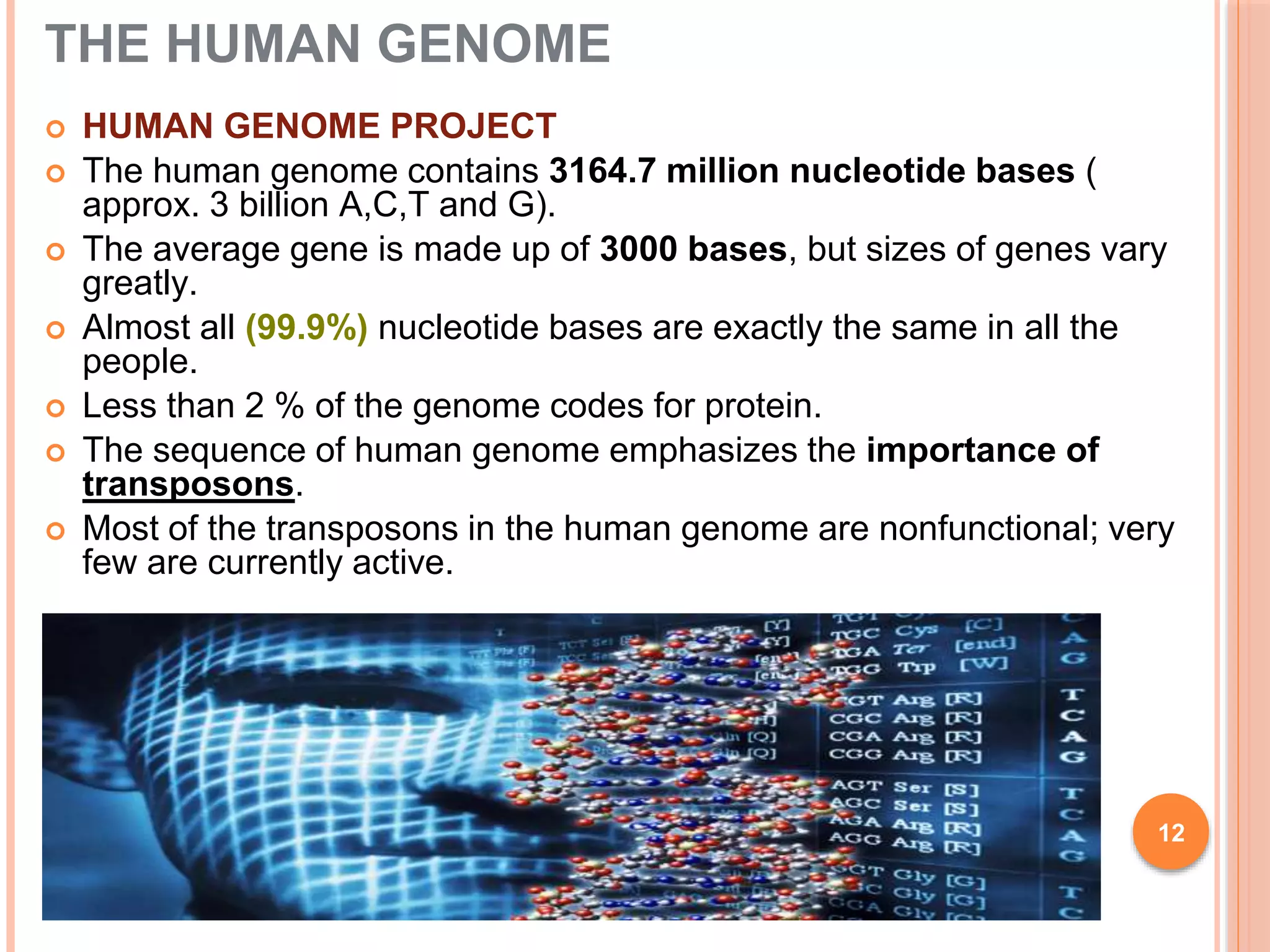 Comparative genomics | PPTX