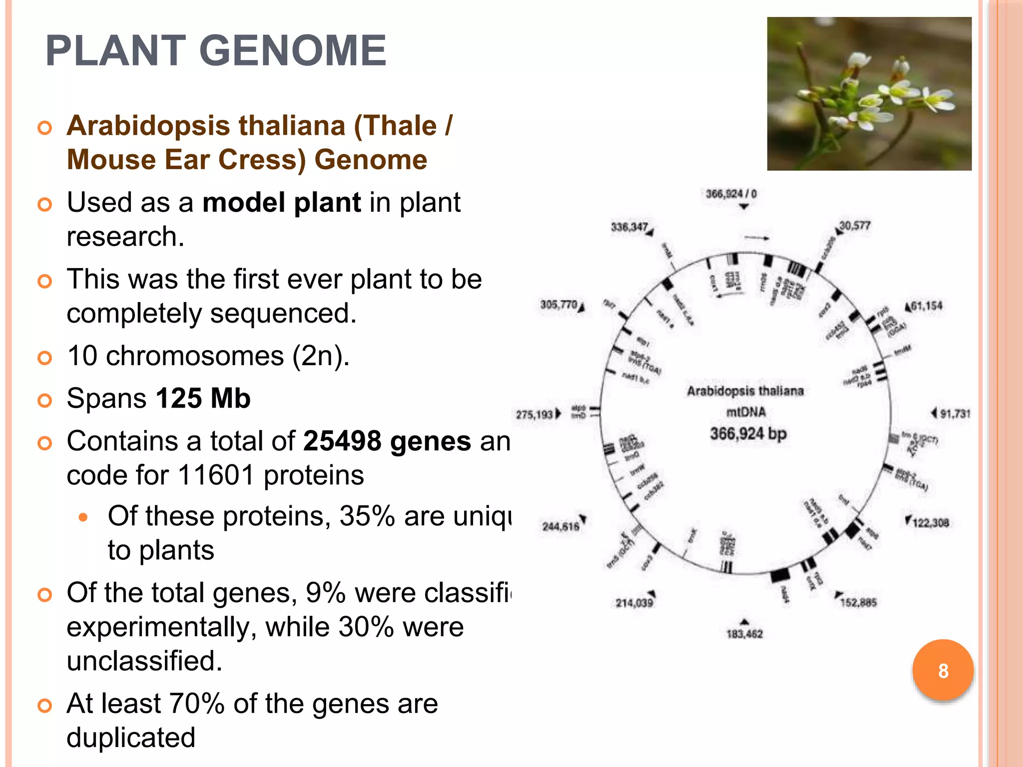 Comparative genomics | PPTX
