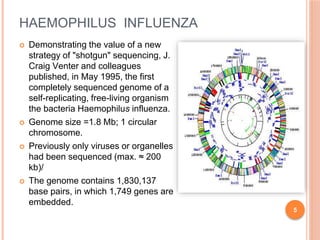 Comparative genomics | PPTX