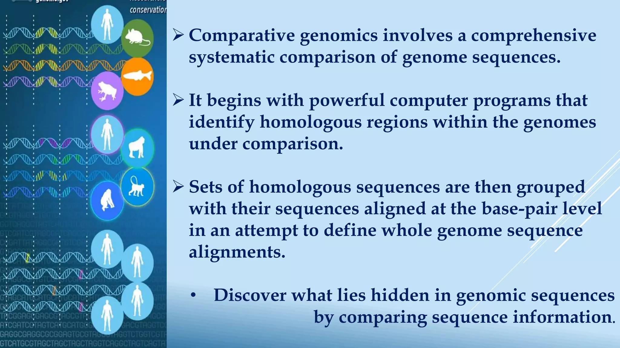 Comparative genomics | PPTX
