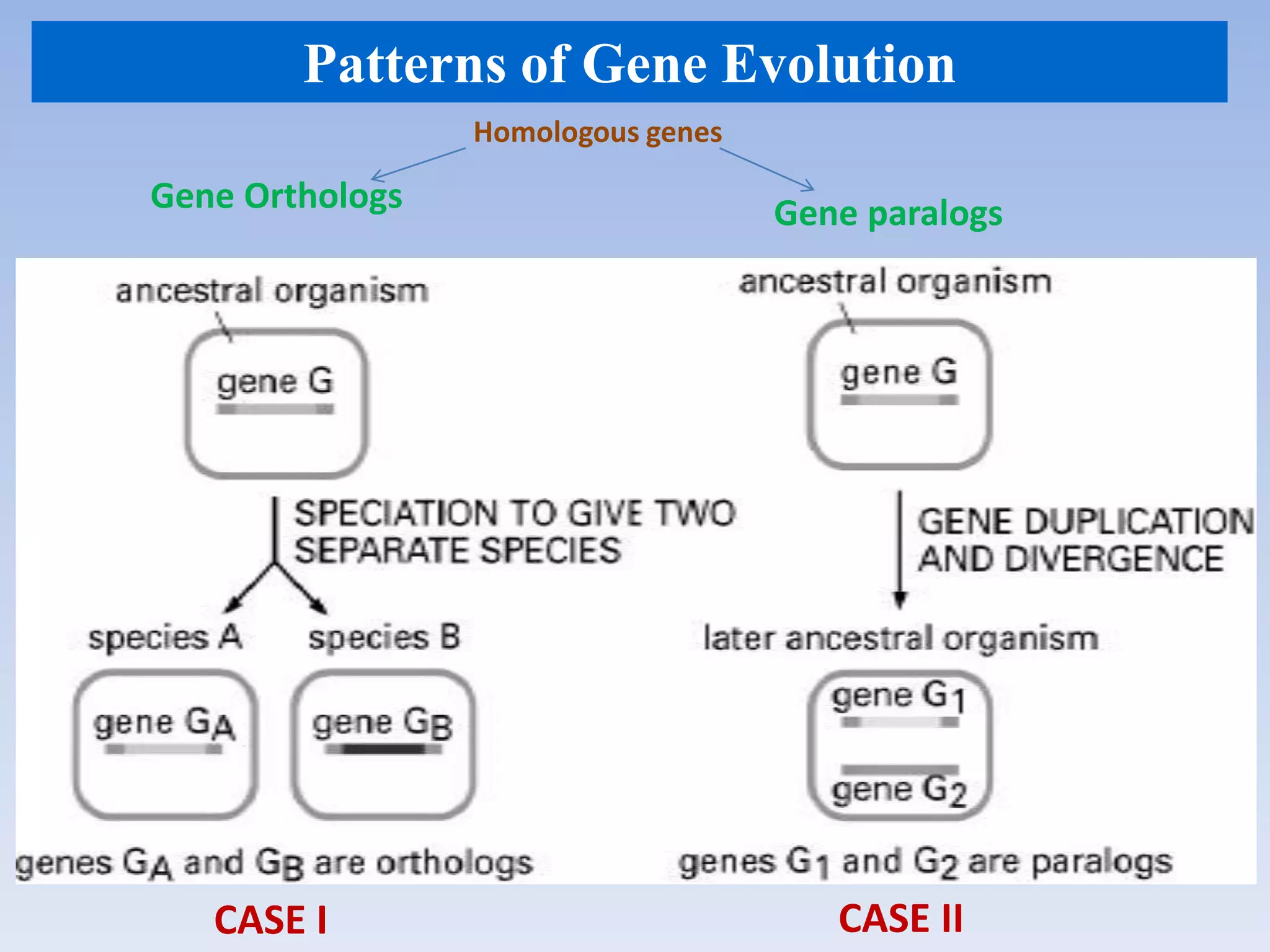 Comparative genomics | PPTX
