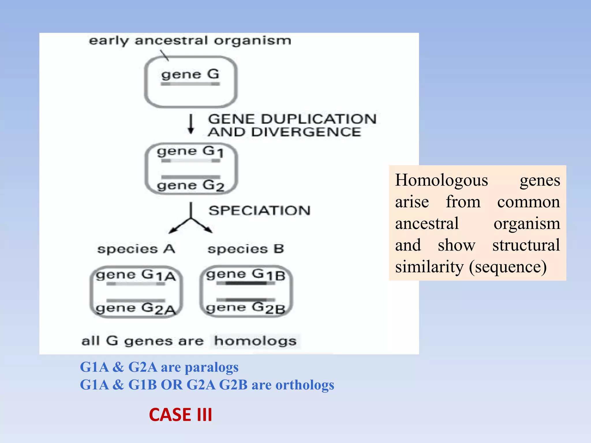 Comparative genomics | PPTX