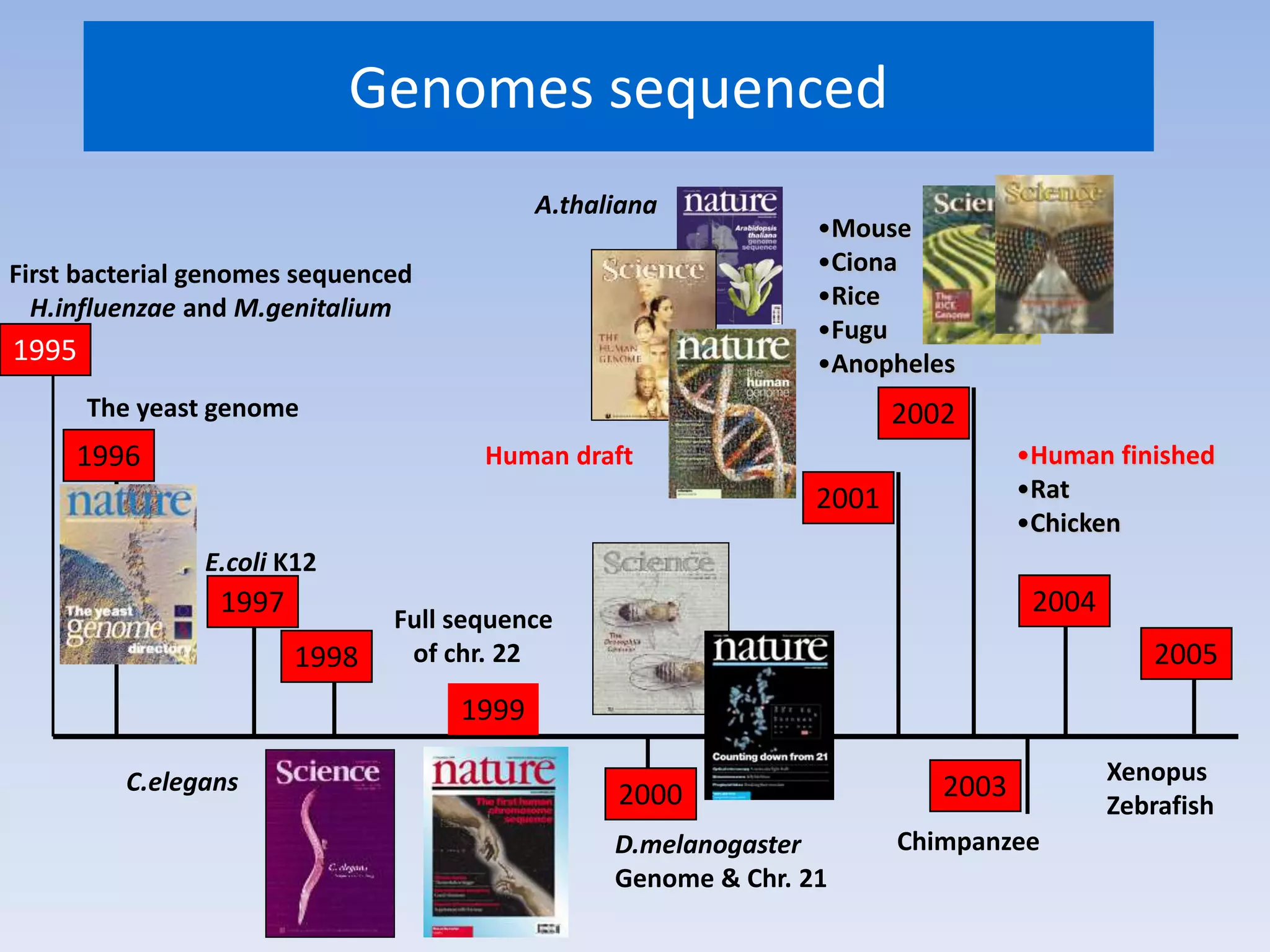 Comparative genomics | PPTX