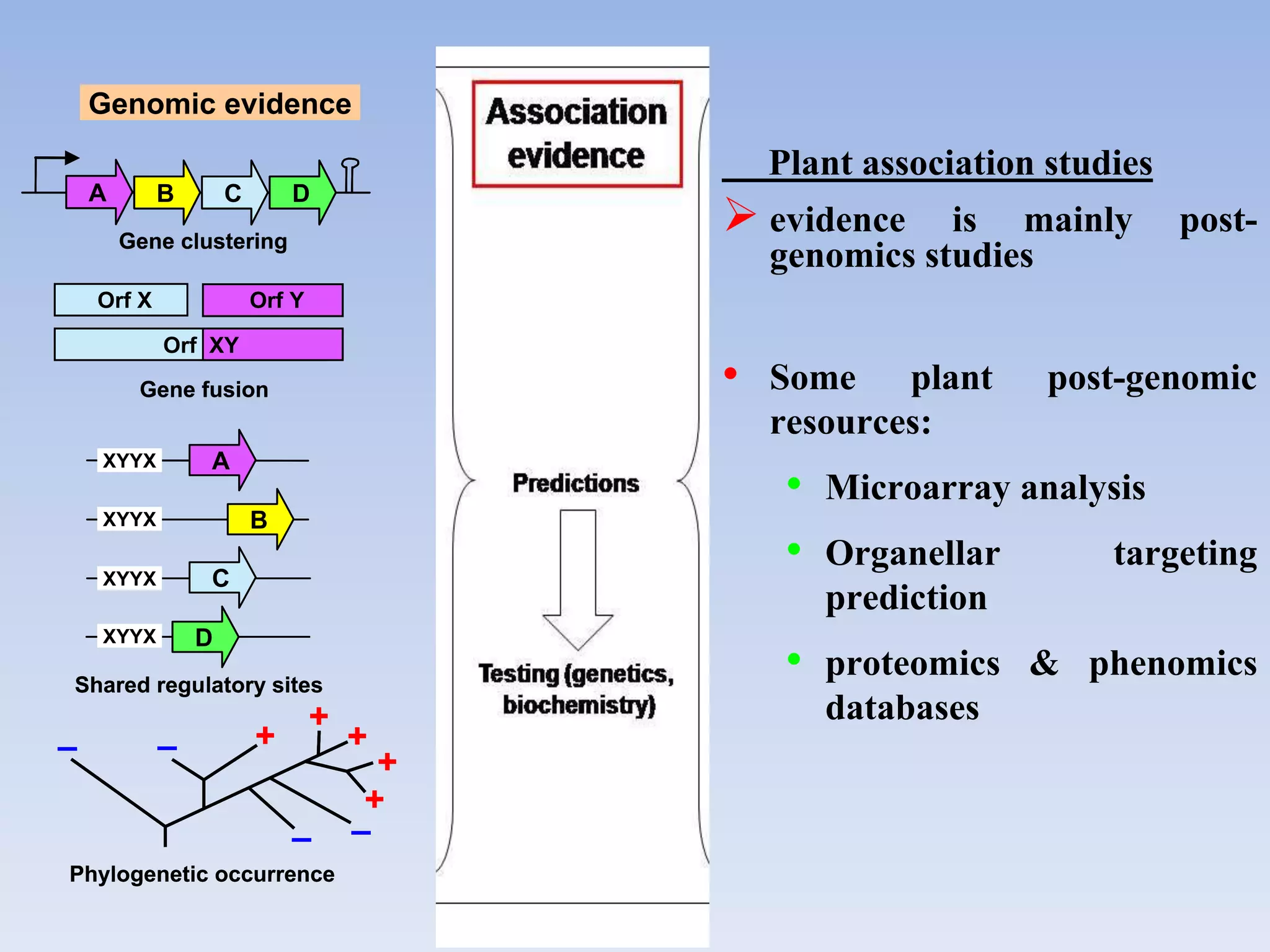 Comparative genomics | PPTX