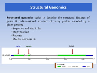 Comparative genomics | PPTX