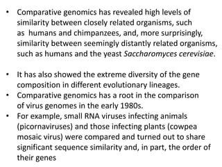 Comparative genomics.pdf