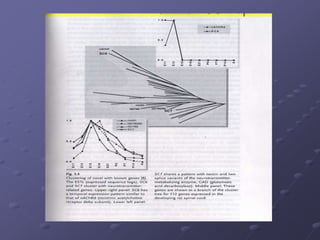 COMPARATIVE GENOMICS.ppt