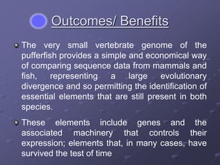 COMPARATIVE GENOMICS.ppt