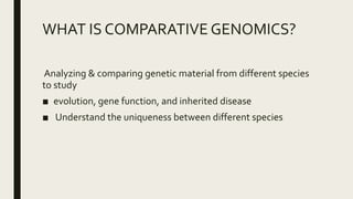 Comparative genomics 2 | PPTX