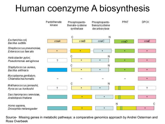Comparative genomics and proteomics | PPTX