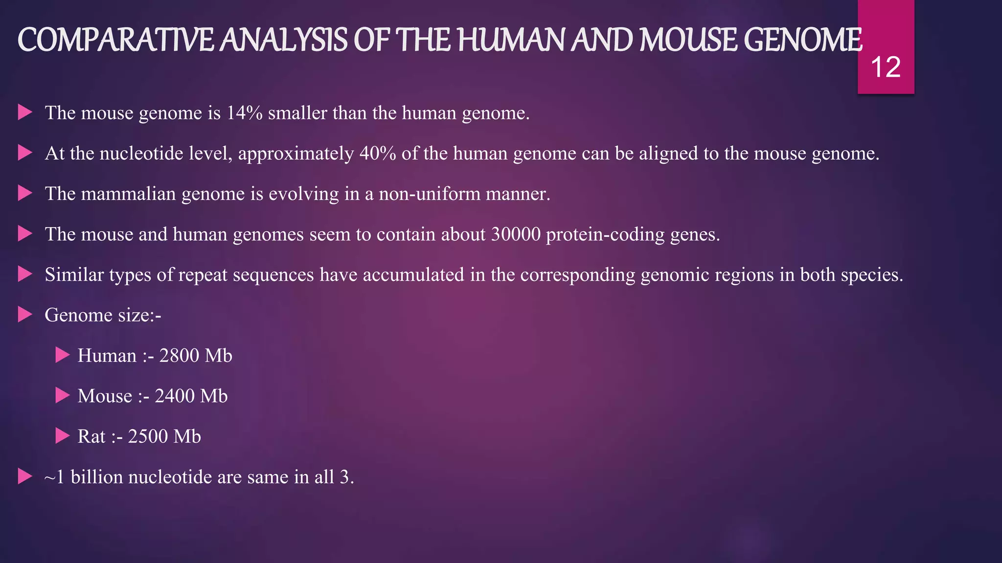 Comparative genomics in eukaryotes, organelles | PPTX