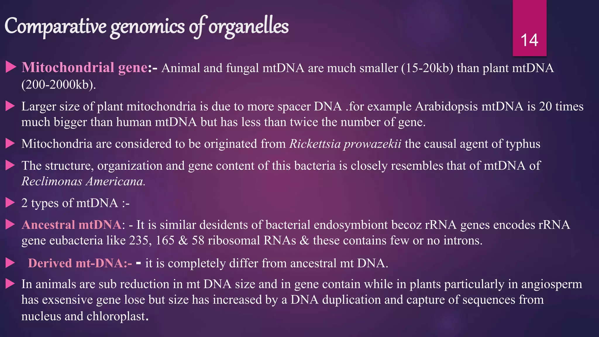 Comparative genomics in eukaryotes, organelles | PPTX