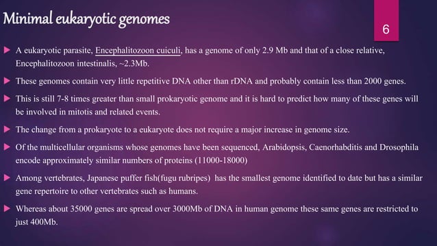 Comparative genomics in eukaryotes, organelles | PPTX | Biological ...