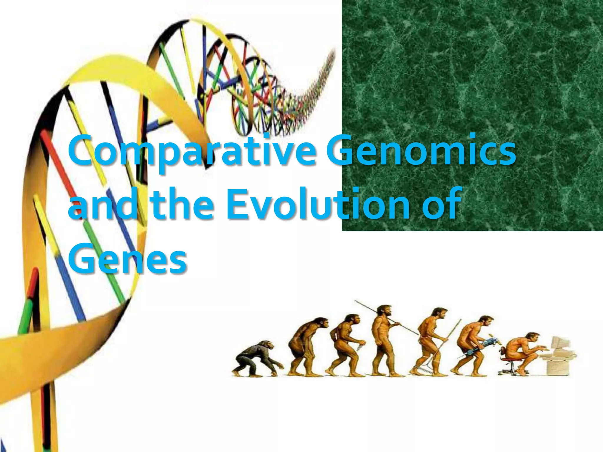 Comparative genomics presentation | PPTX