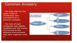 Comparative gross anatomy of animal with human structure.pptx