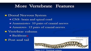 Comparative gross anatomy of animal with human structure.pptx
