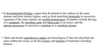Comparative gross anatomy of animal with human structure.pptx