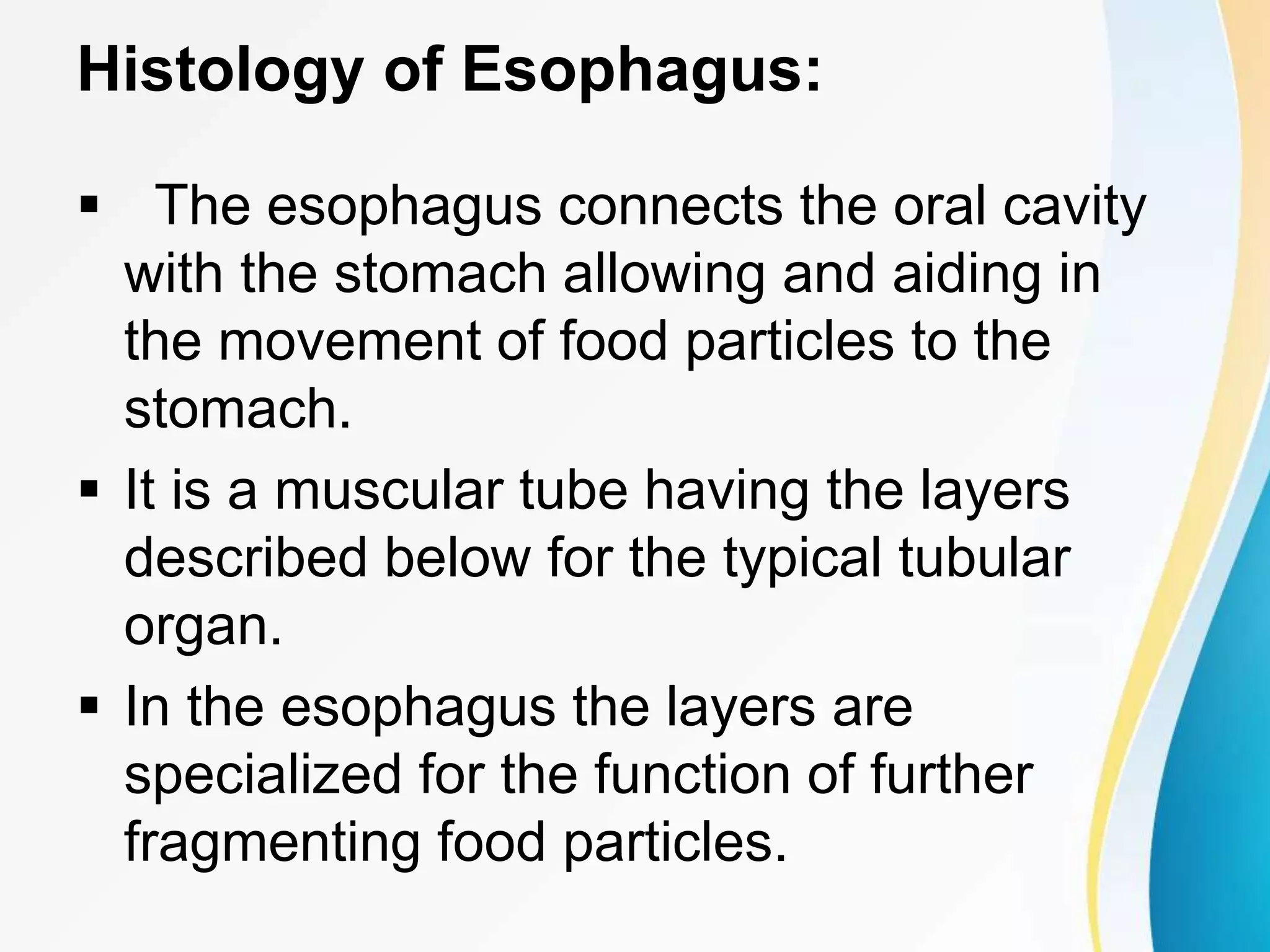 Comparative histology and histopathology of ruminant esophagus | PPTX