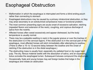 Comparative histology and histopathology of ruminant esophagus | PPTX