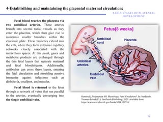 Comparative histology of early and late placental development - maha ...