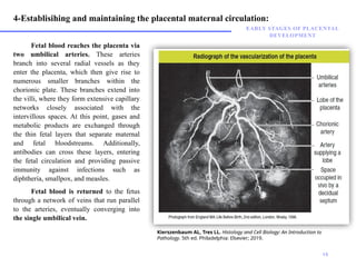 Comparative histology of early and late placental development - maha ...