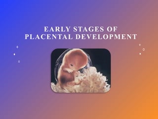 Comparative histology of early and late placental development - maha ...