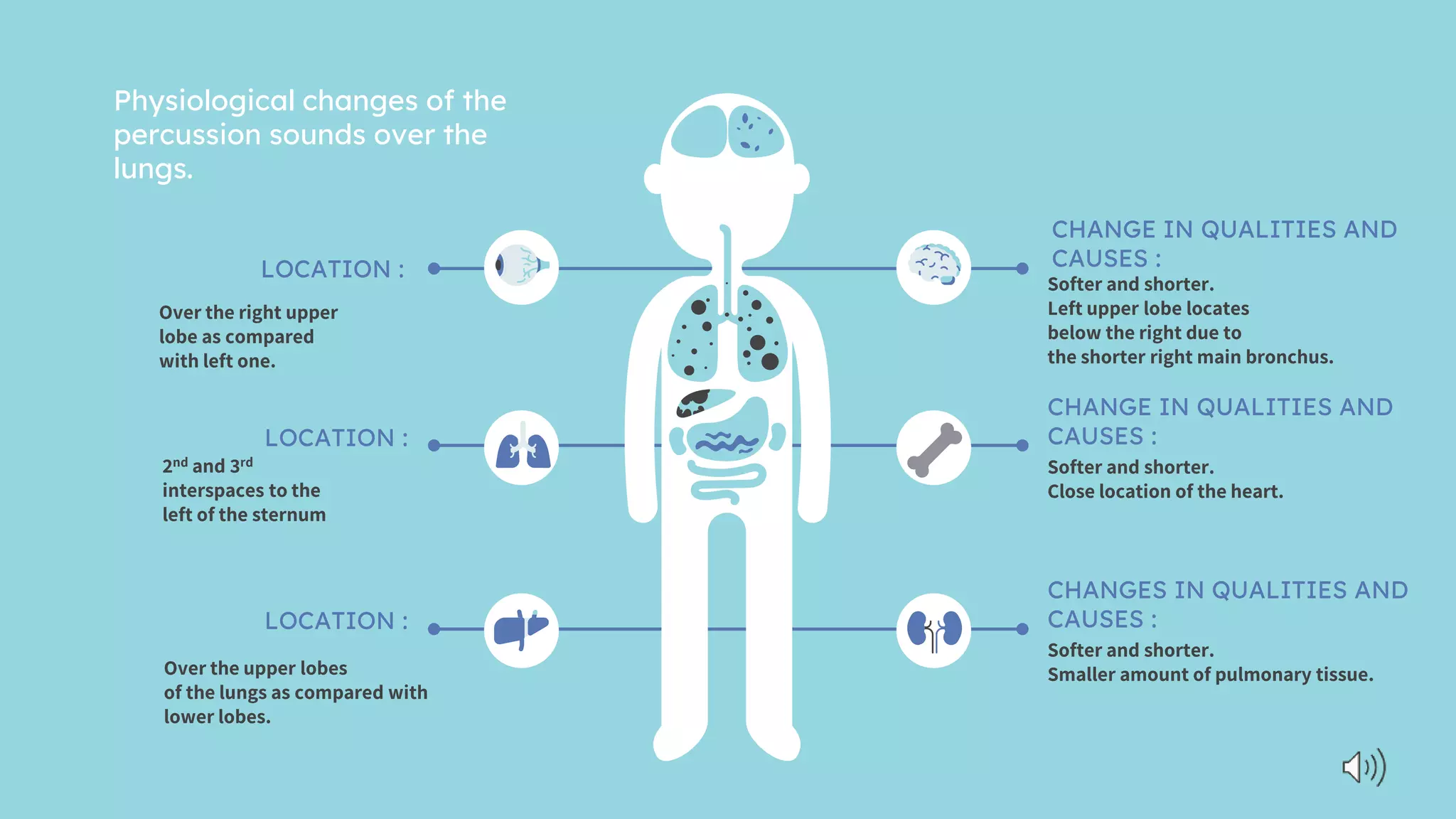 Comparative percussion of lungs | PPTX