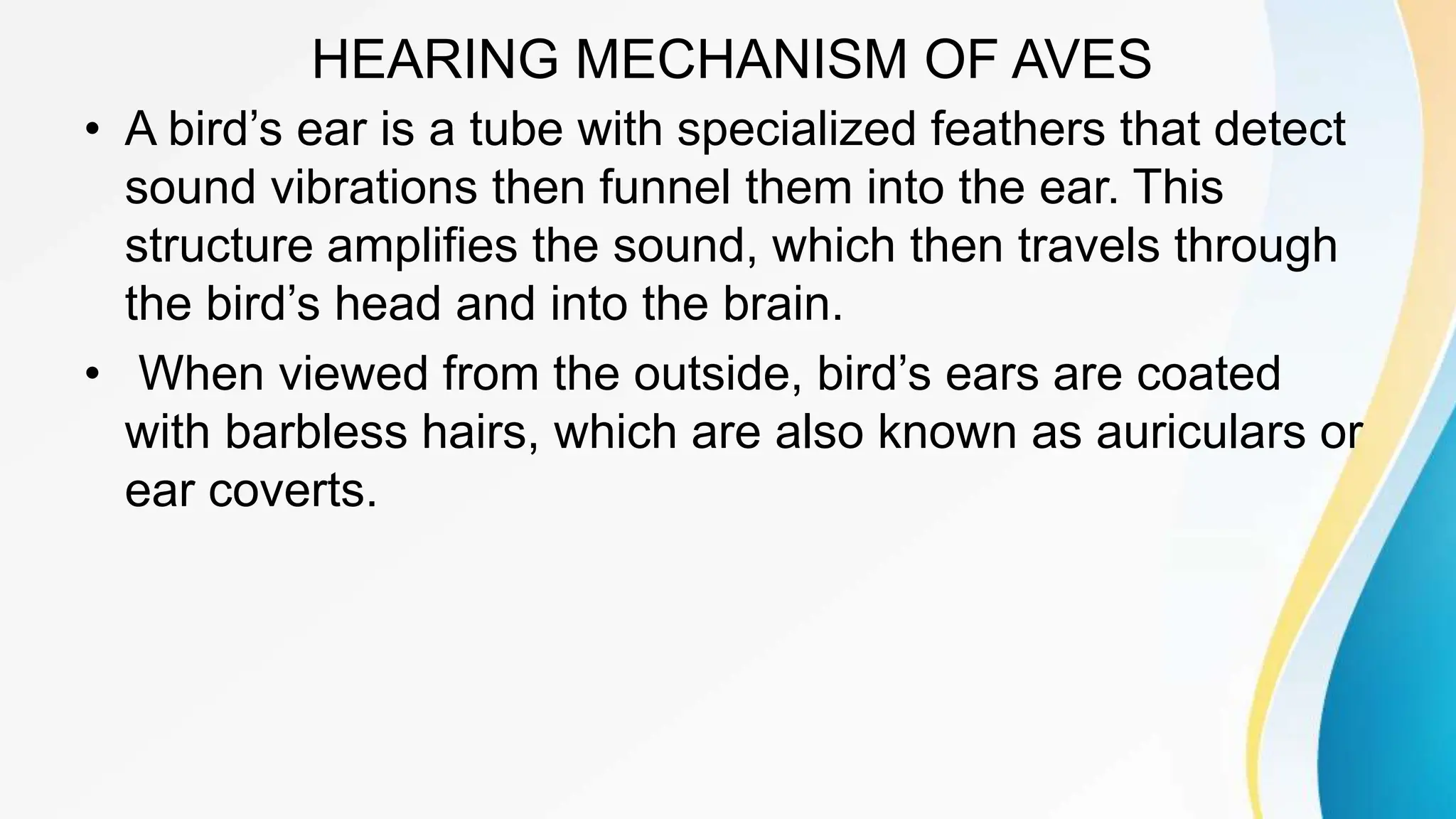 COMPARATIVE PHYSIOLOGY OF THE SENSE OF HEARING IN DIFFERENT ANIMALS.pptx
