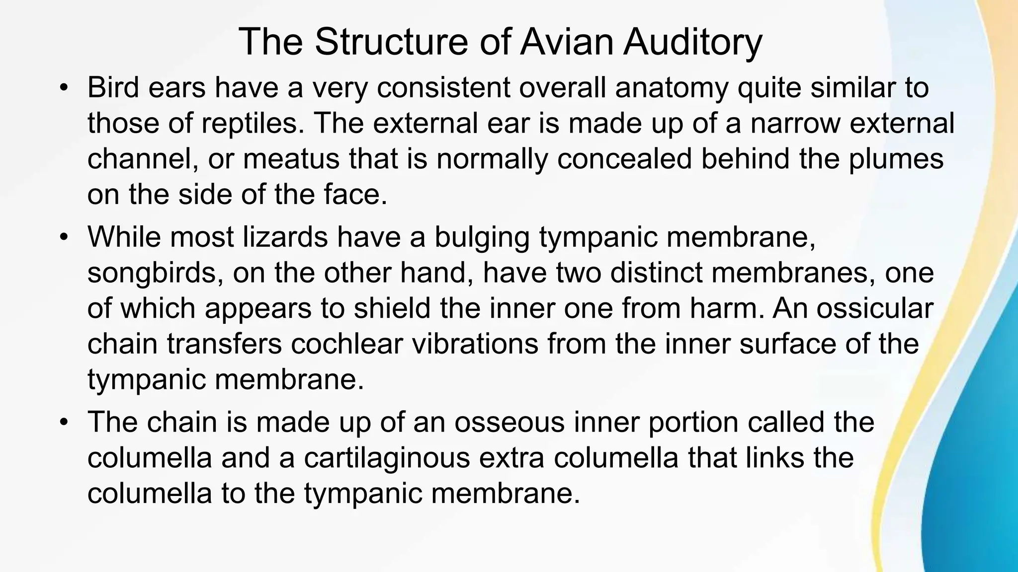 COMPARATIVE PHYSIOLOGY OF THE SENSE OF HEARING IN DIFFERENT ANIMALS.pptx