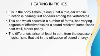 COMPARATIVE PHYSIOLOGY OF THE SENSE OF HEARING IN DIFFERENT ANIMALS.pptx