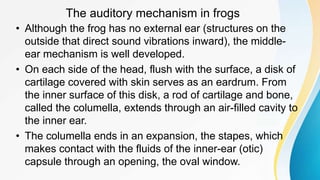 COMPARATIVE PHYSIOLOGY OF THE SENSE OF HEARING IN DIFFERENT ANIMALS.pptx