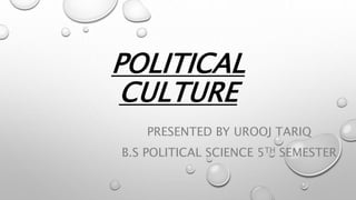 Political culture in comparative politics | PPT