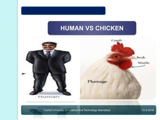 Comparative project last ppppppp | PPTX