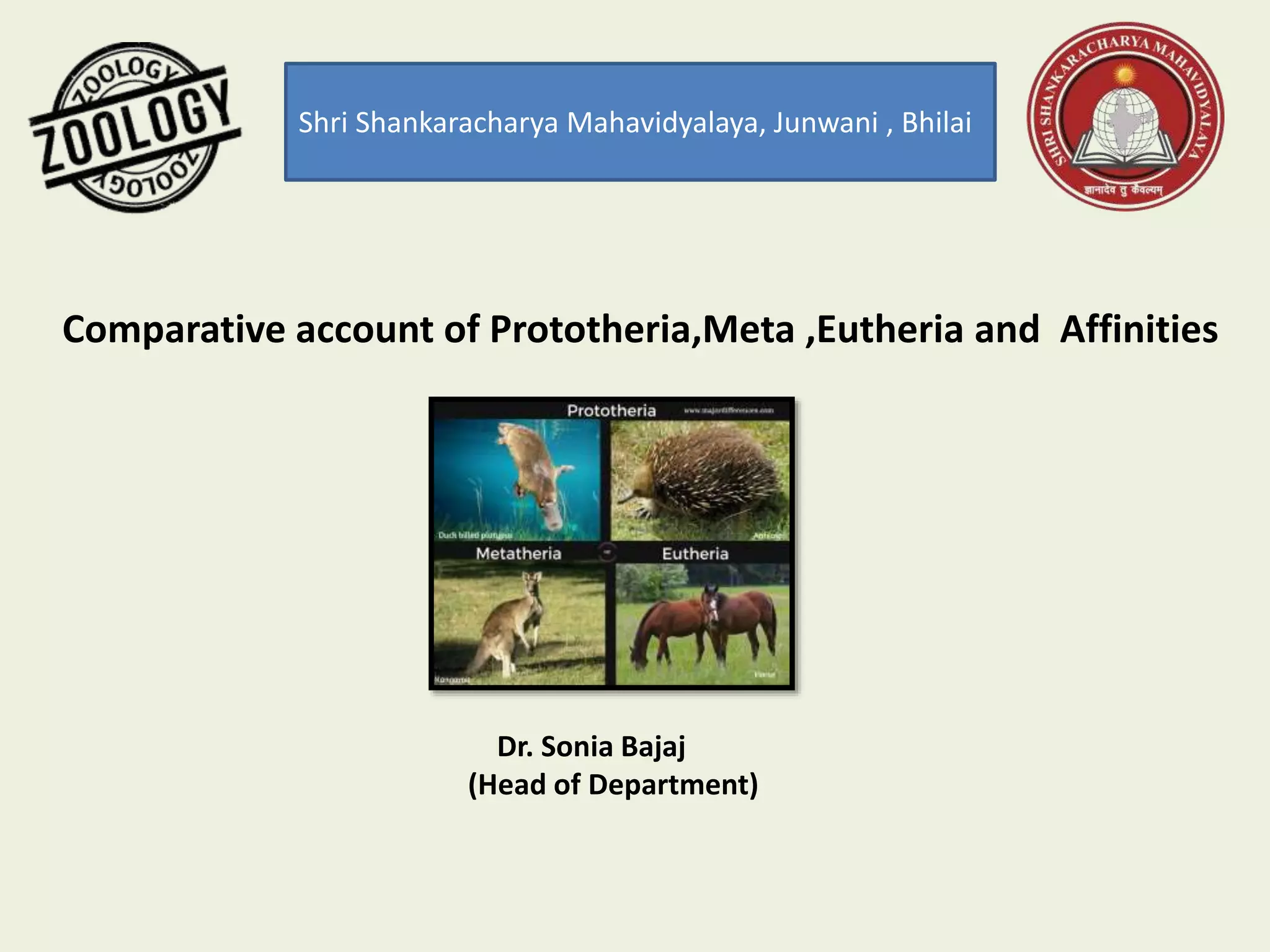 Comparative pro,mete,& eutheria, features of prototheria to eutheria ...