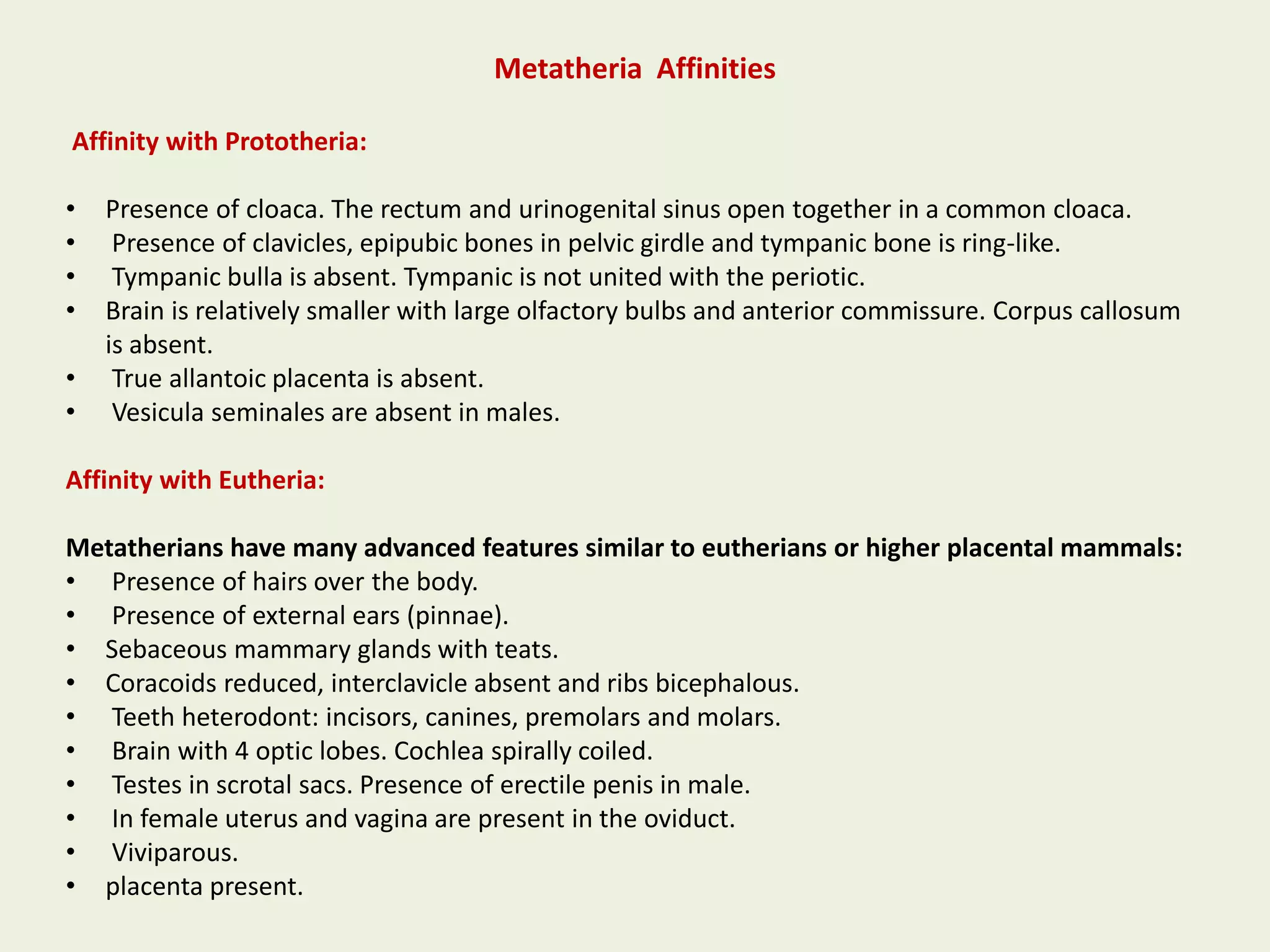Comparative pro,mete,& eutheria, features of prototheria to eutheria ...