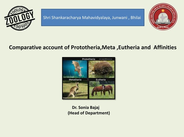 Comparative pro,mete,& eutheria, features of prototheria to eutheria ...